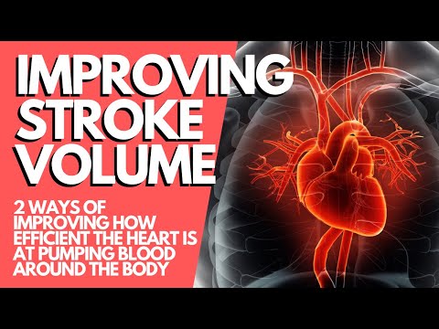 HOW TO IMPROVE STROKE VOLUME: The Key to a More Efficient Heart