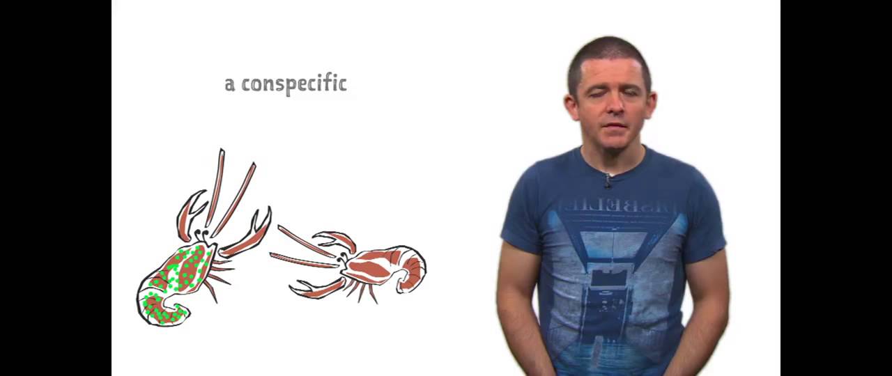 Week 6 Video 6:  Behavioral Avoidance