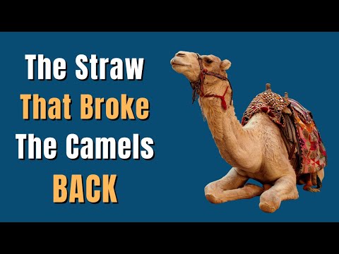 The STRAW which breaks the CAMEL’S back! It’s Coming! | Kingdom Economics