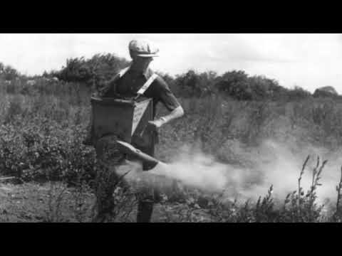 L’invention de la pollution