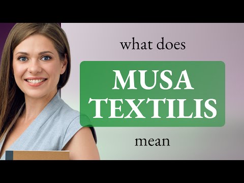 Musa textilis | meaning of MUSA TEXTILIS