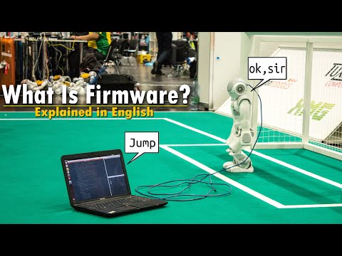 What is Firmware | Typical Examples of Firmware