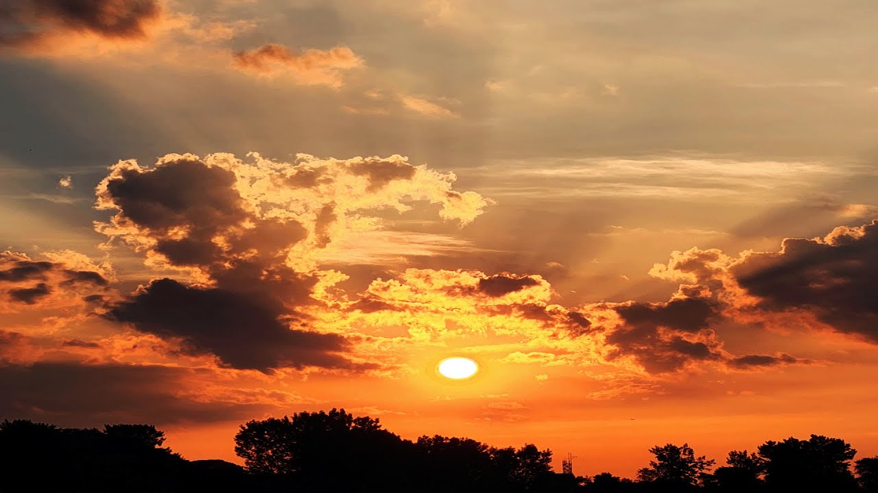 kümmel - suzie sunrise