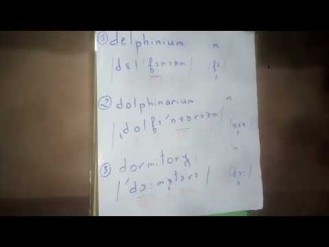 How to pronounce كيف أنطق Delphinium, Dolphinarium, Dormitory /English pronunciation