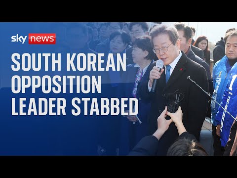 Lee Jae-myung: South Korean opposition leader stabbed in the neck