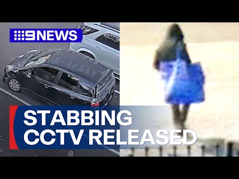 Police release video after man fatally stabbed | 9 News Australia