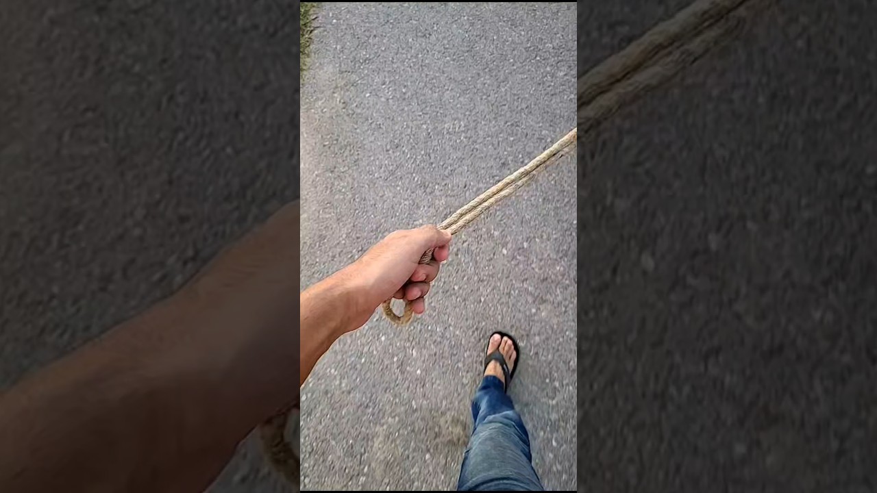 Haha 😅 #trend #eid #eiduladha