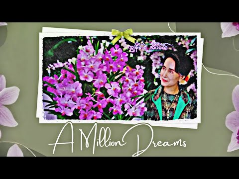 The Lady at 80 _ A Tribute to A May Su