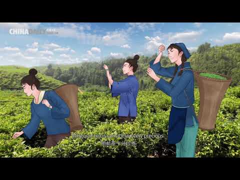 Festive China - Spring Equinox