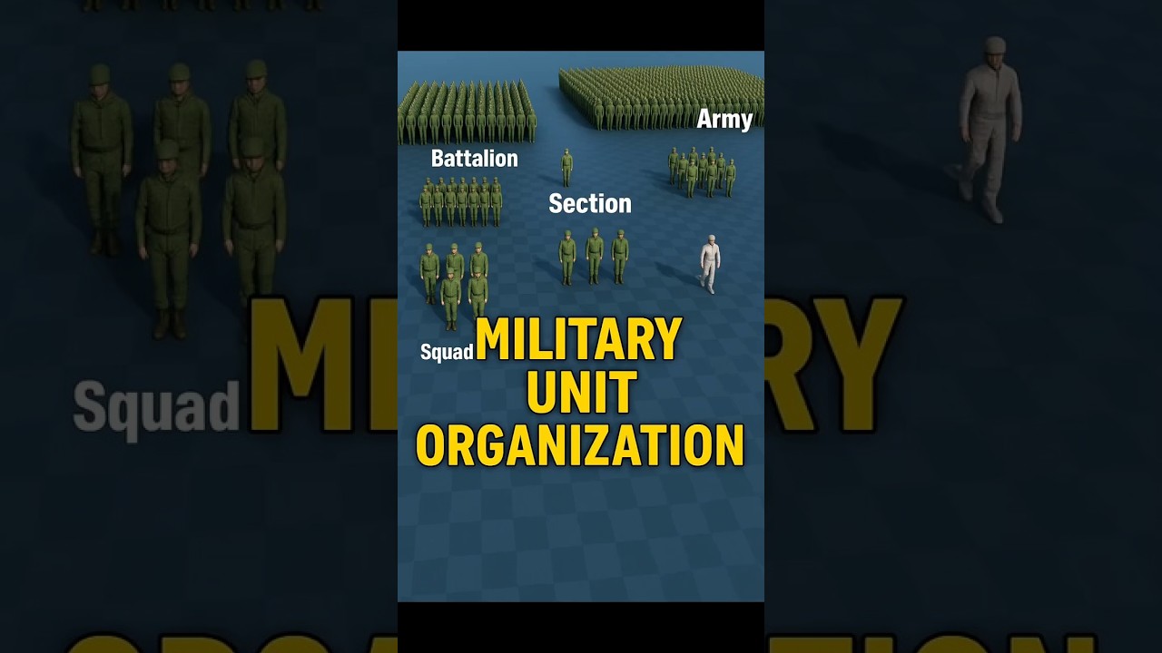Military Unit Structure Explained | From Squad to Army Group #shortvideo #army
