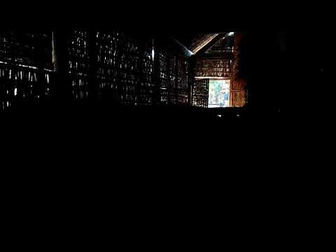 Sapi limusin, mas agus sumitro kentangan sukomoro magetan
