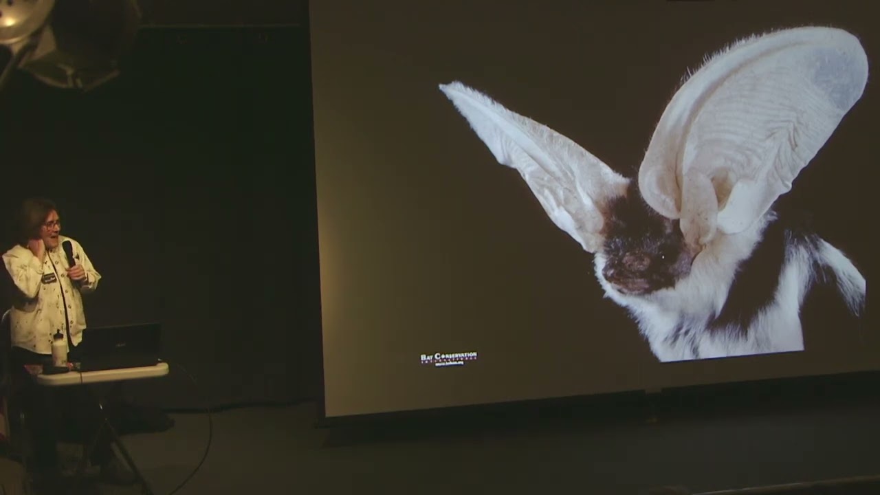 Bats of the Pacific Northwest.