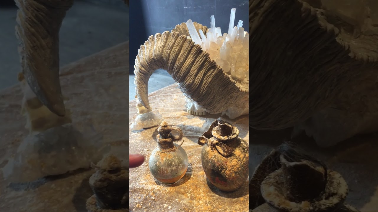 “THE ORACLE’S EYE” features Chris Stein, Jordan Barlow, Albrecht Dürer ...