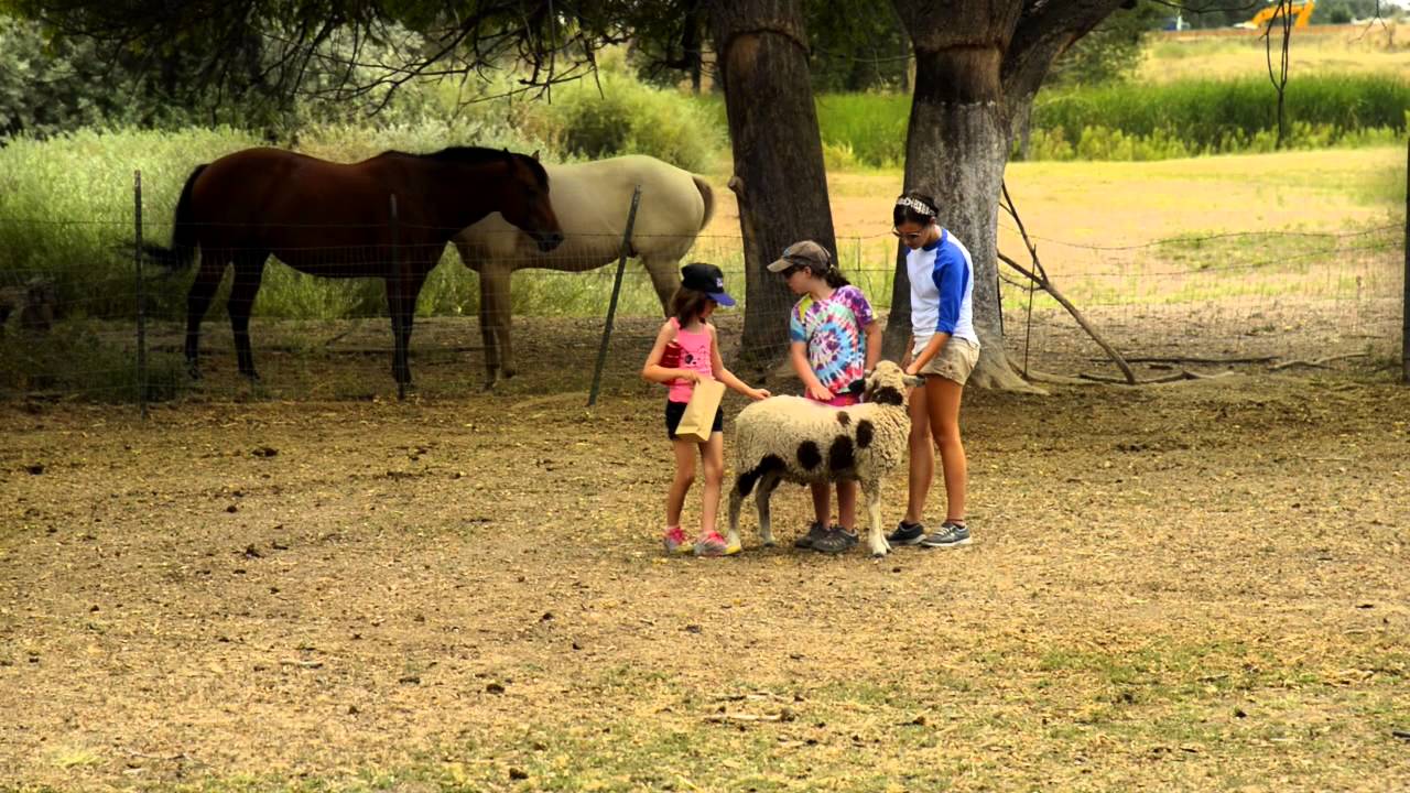 Project Thrive - Awareness