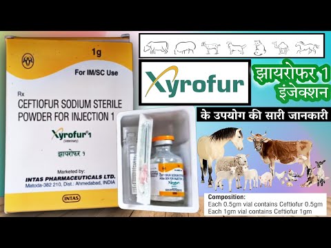 Ceftiofur Sodium Injection - Excede Latest Price, Manufacturers & Suppliers