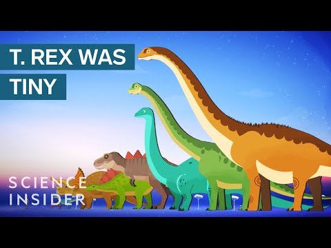 The Biggest Dinosaurs Of All Time