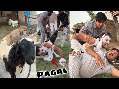 Javed Dog Ki Trha Attack Krna Laga 😨 Pagal Ho Gya Ya 😭