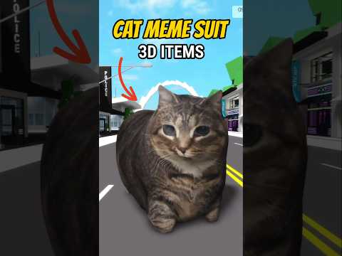 ID CAT MEME COSTUME (3D ITEMS) In Brookhaven #shorts