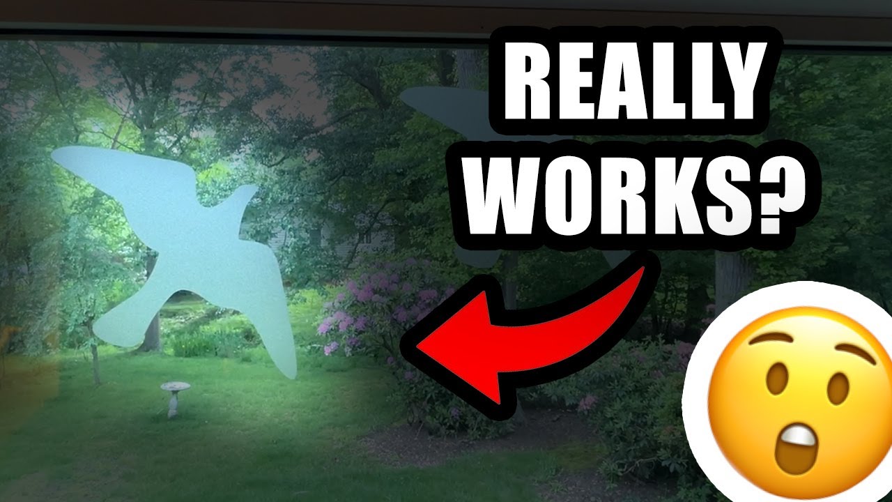 Do These Anti-Collision Window Bird Stickers Keep Birds From Hitting Your Windows?