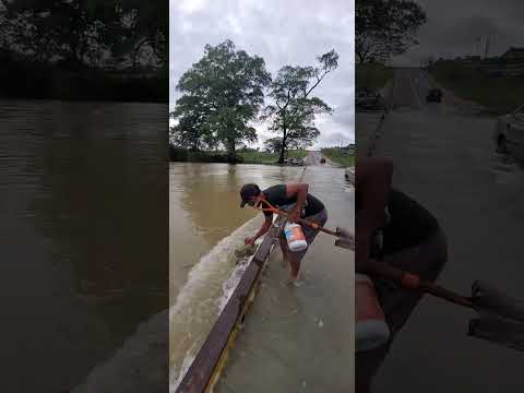 A funny report from the Iguana Creek Bridge. #belize #flooding #river