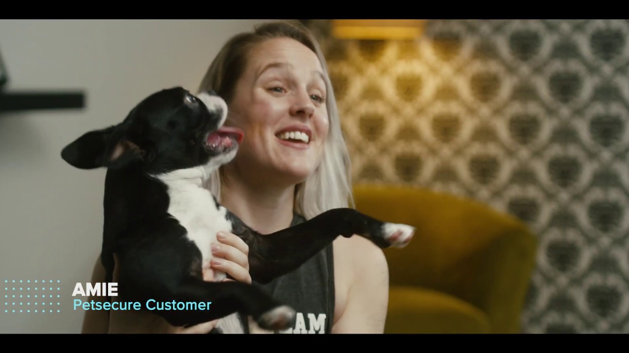 Why Amie and Mark have Petsecure