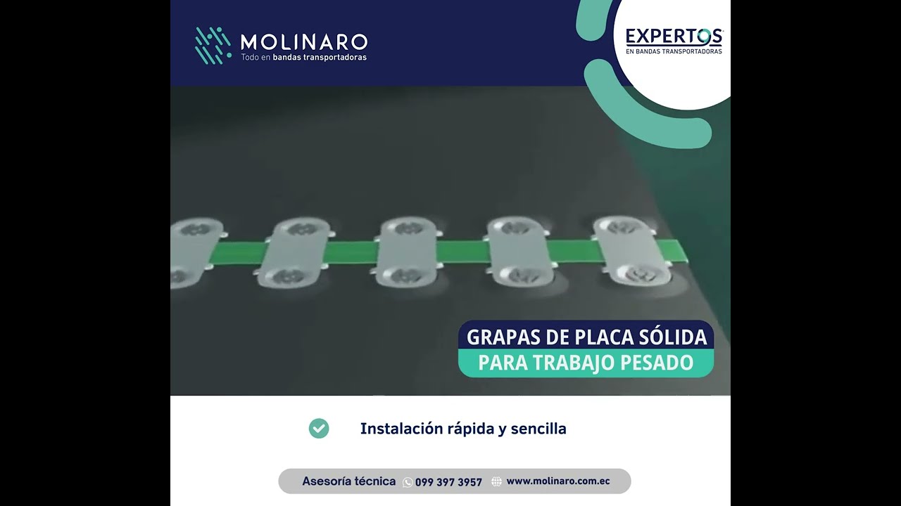 Grapas de placa sólida Flexco