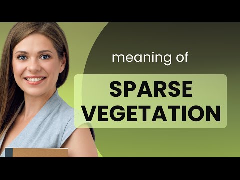 Understanding "Sparse Vegetation": A Guide for English Learners