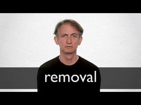 REMOVAL definition and meaning | Collins English Dictionary