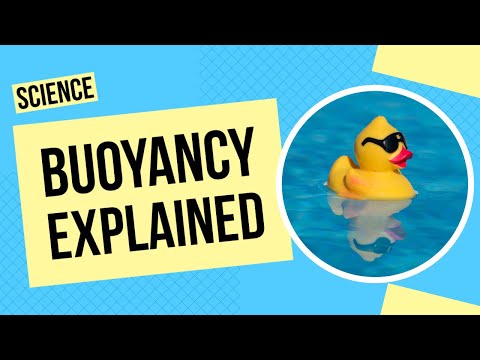 Buoyancy Explained | Science Lesson