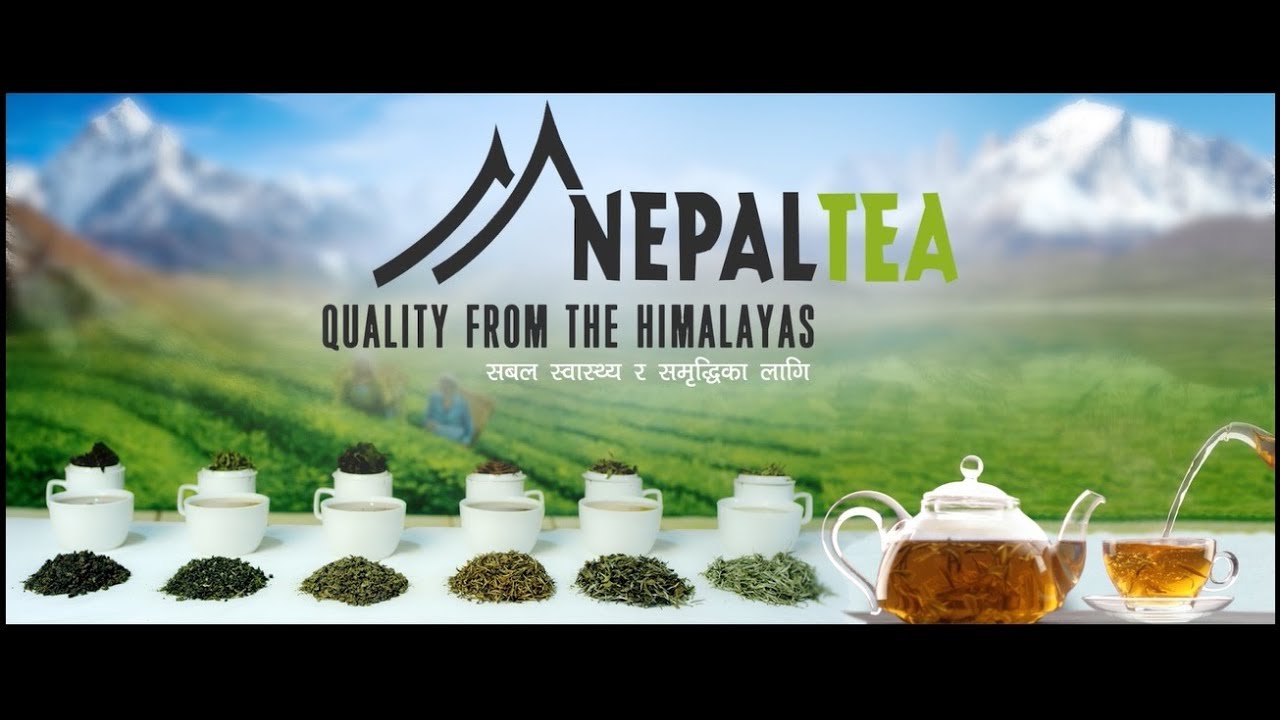|| National Tea and Coffee Development Board