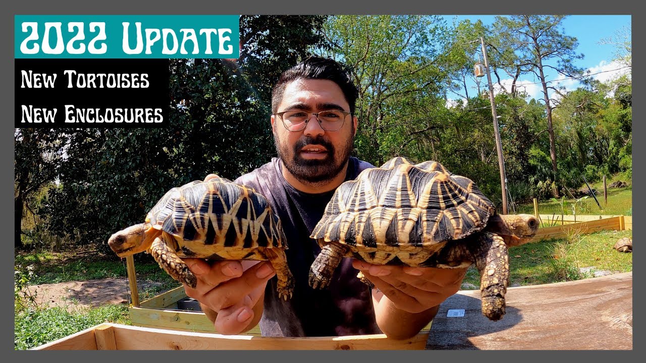 2022 Tortoise Tour | Huge Updates!