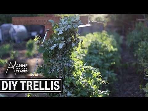 How to Build a Garden Trellis
