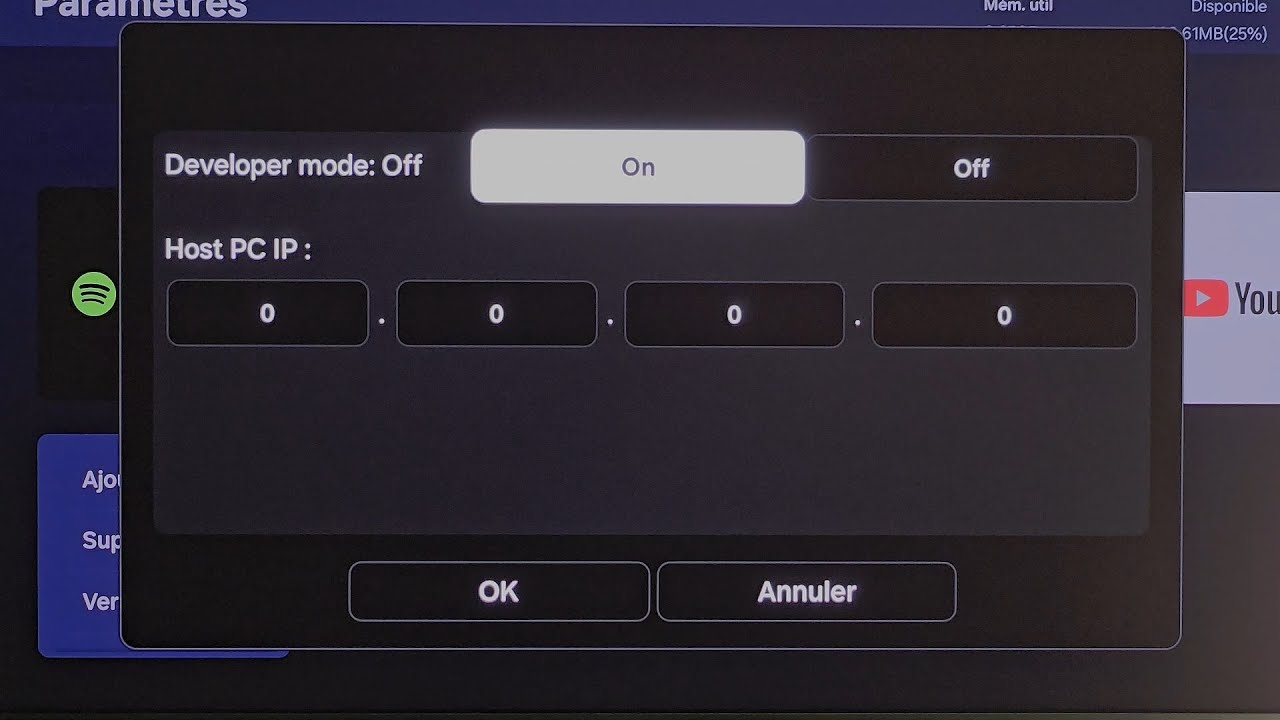Samsung TV Tizen Smart Hub 2024 - Developer Mode