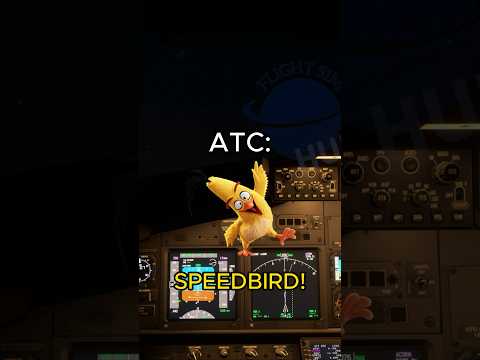 Angry ATC | Vatsim