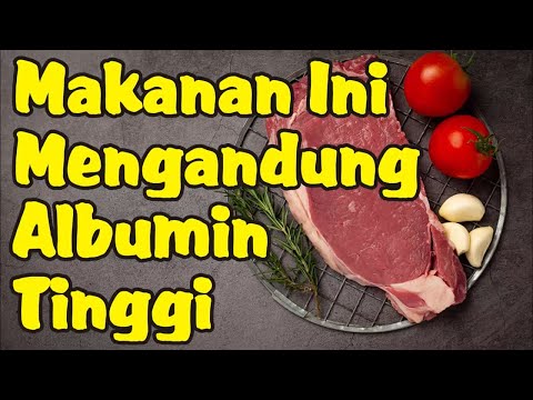 Makanan yang Mengandung Albumin Tinggi