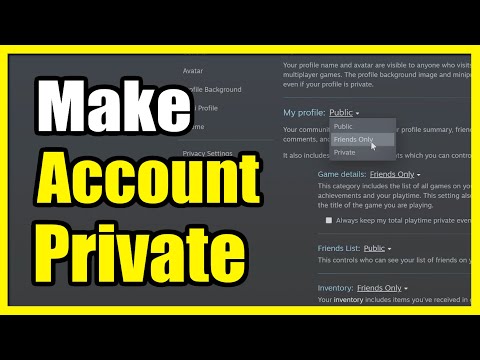 How to Make your Steam account Private & Friends list (Privacy Settings)