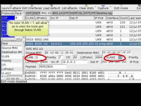 VLAN hopping or double tagging using “Yersinia” | CCIE, the beginning!