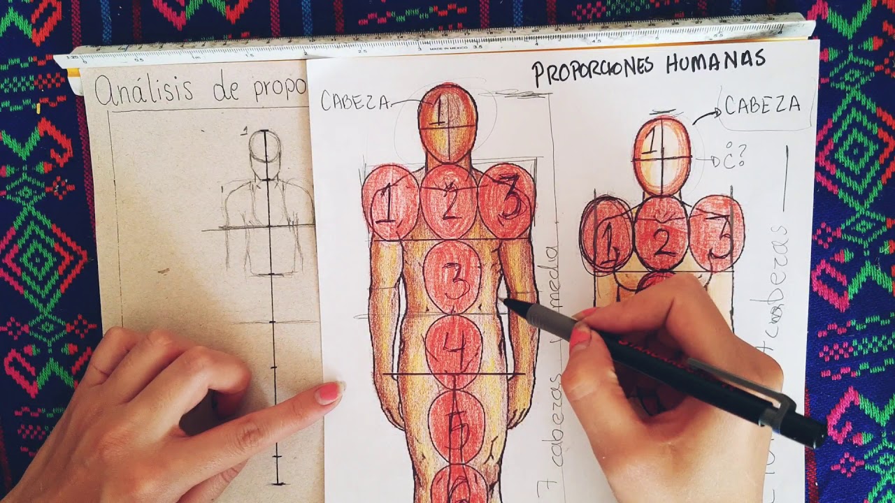 Actividad 12. Analisis de proporciones humanas