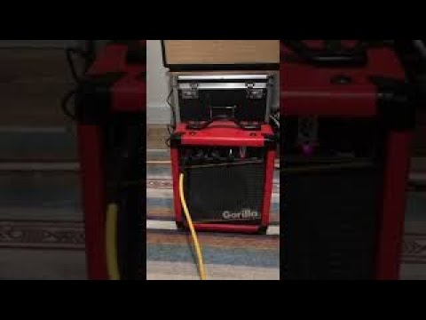 Gorilla GG-20 1987 Red 30 watt practice amp | Reverb