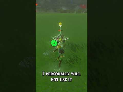 AMAZING NEW MOD in Tears of the Kingdom
