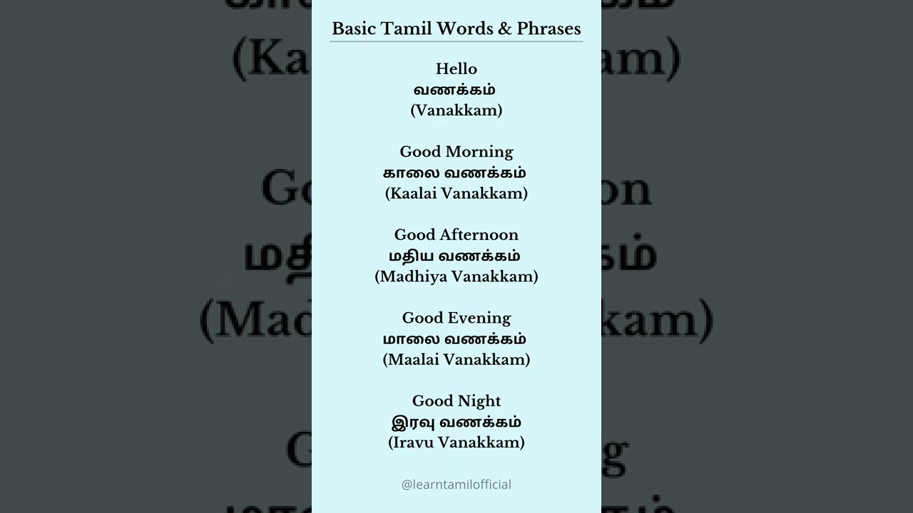 Basic Tamil Words & Phrases 💖 #shorts