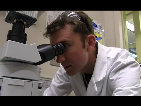 "Research Is a Very Fast-Paced, Innovative Space."