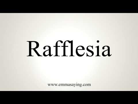 How To Pronounce Rafflesia