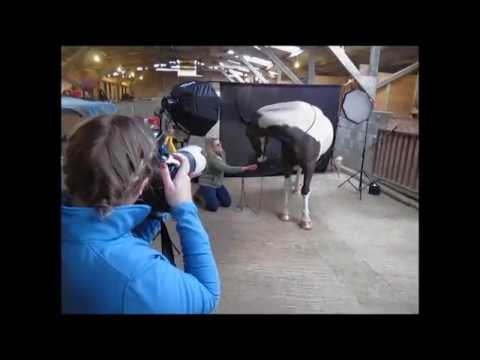 Behind The Scenes - Equine Studio Photography Photoshoot | Evie Lewis