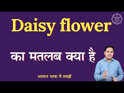 Daisy flower meaning in Hindi | Daisy flower ka matlab kya hota hai | English to hindi