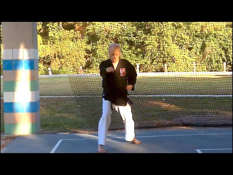 GR-Lunge Punch - Sensei Lindgren's Okinawa-Te Page