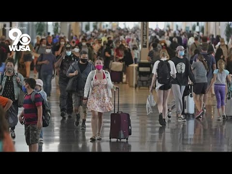 What are the new rules for international travel to the United States? | Verify
