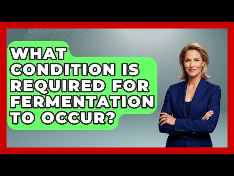 What Condition Is Required For Fermentation To Occur? - Biology For Everyone