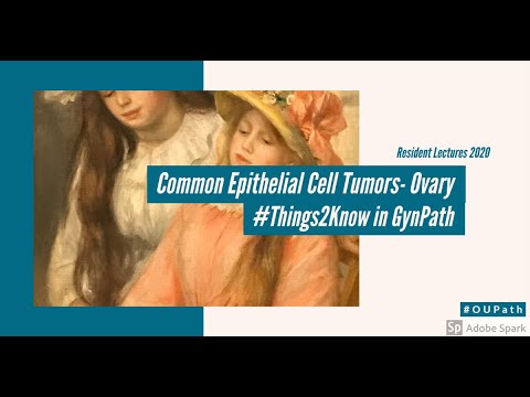 Serous and Mucinous Tumors of the Ovary: Resident Basics