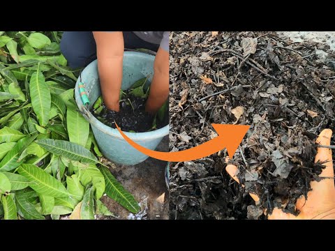 How to Compost Leaves without Cutting Them up First